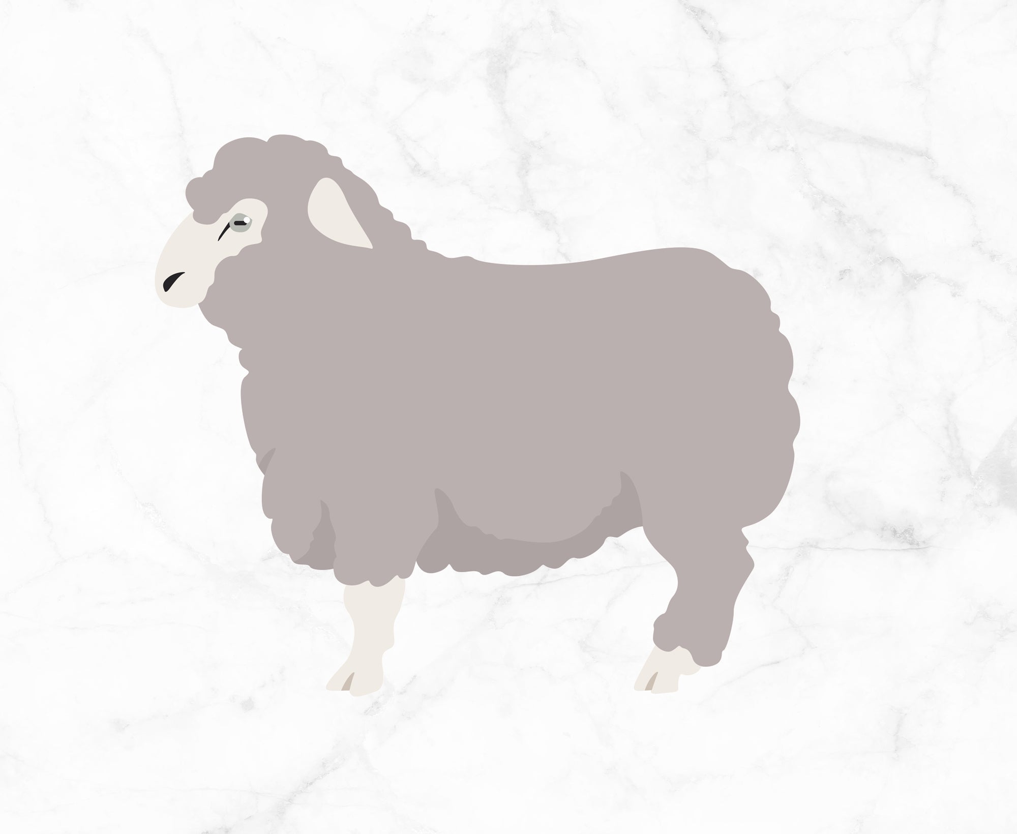 Kent Romney – World of Wool Trade