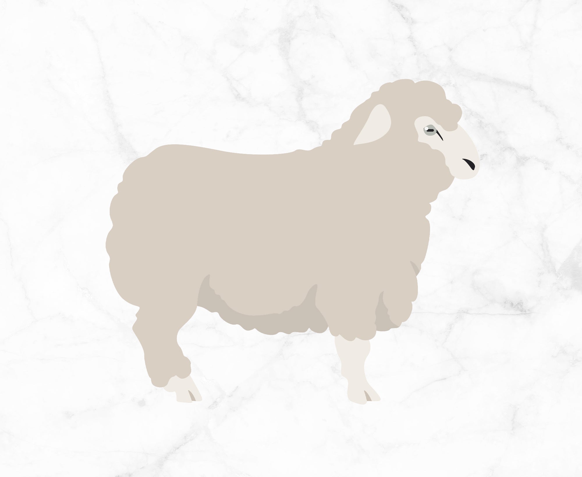 Southdown – World of Wool Trade