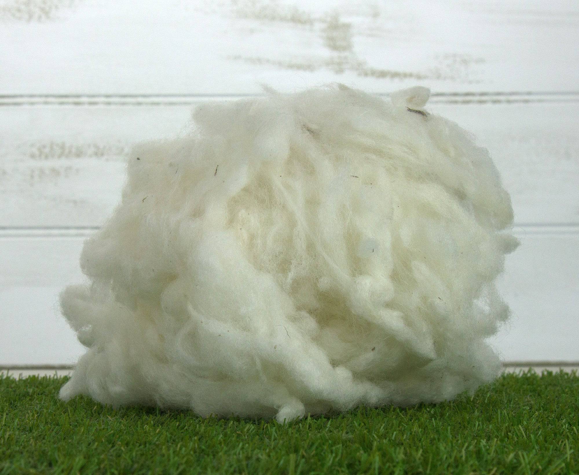 Scoured Corriedale Fleecewool – World of Wool Trade