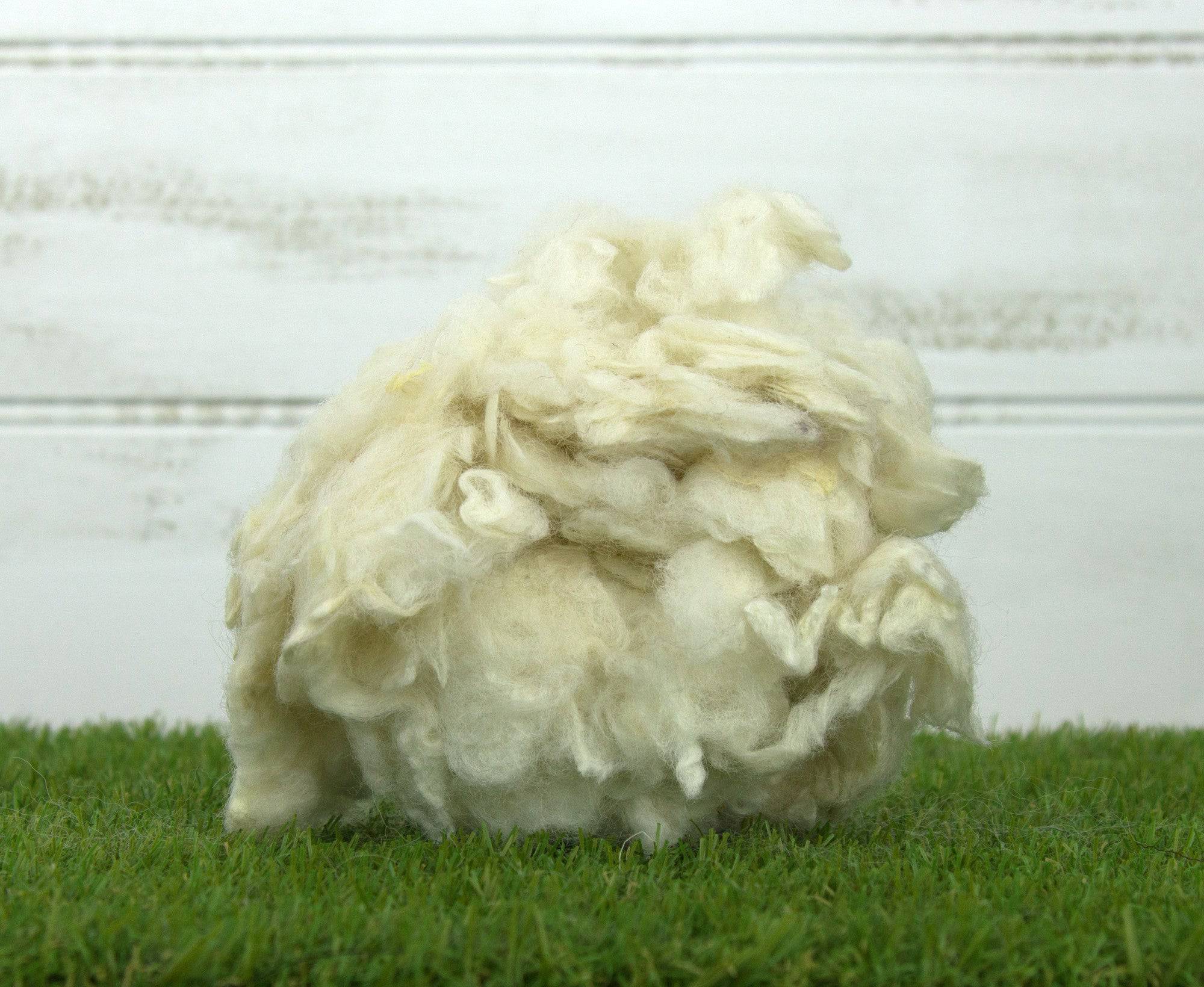 Scoured Perendale Lambswool – World of Wool Trade